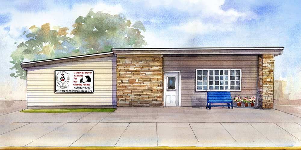 Contact | Little Orphans Animal Shelter